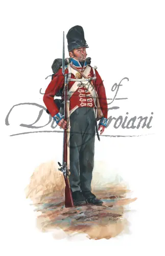 Regiment De Meuron, 1815 – The Art of Don Troiani
